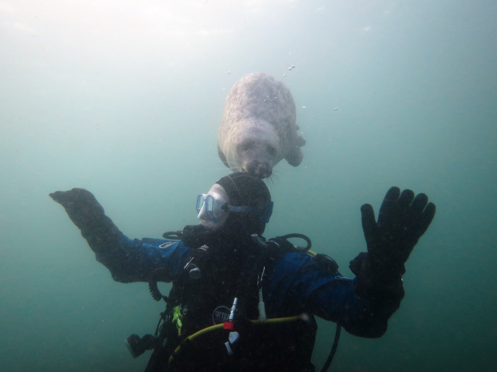 Sports Diver Training – Sheffield SCUBA
